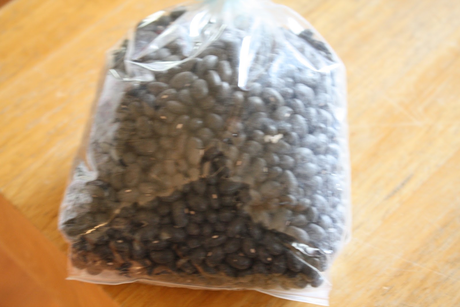 Sunny Simple Life: Easiest Way to Cook Dried Beans